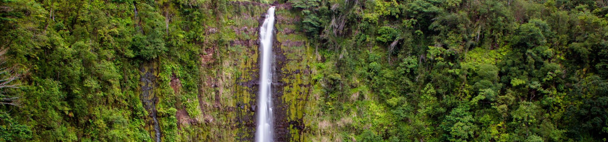 Historic Honomu Town | Skyline Hawaii