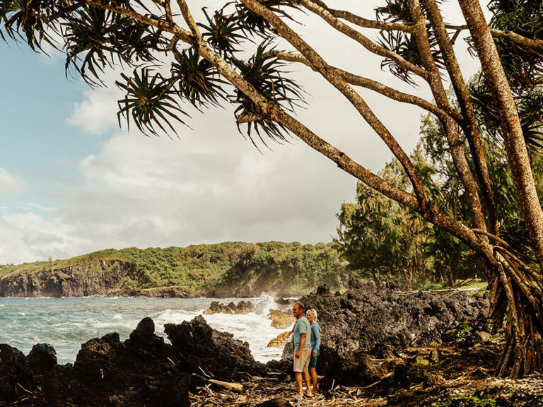 Hawaii's Natural Resources Conservation | Skyline Hawaii